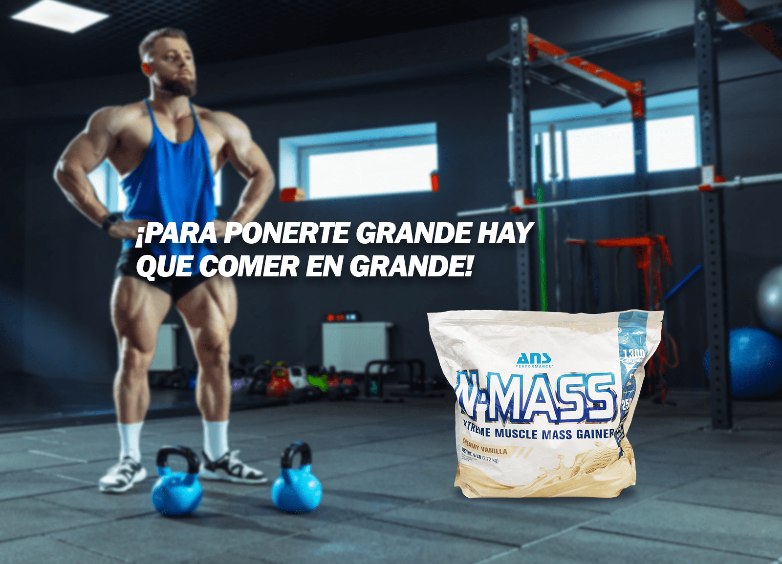 N-MASS 6LB VAINILLA - Distribuidora Fitness